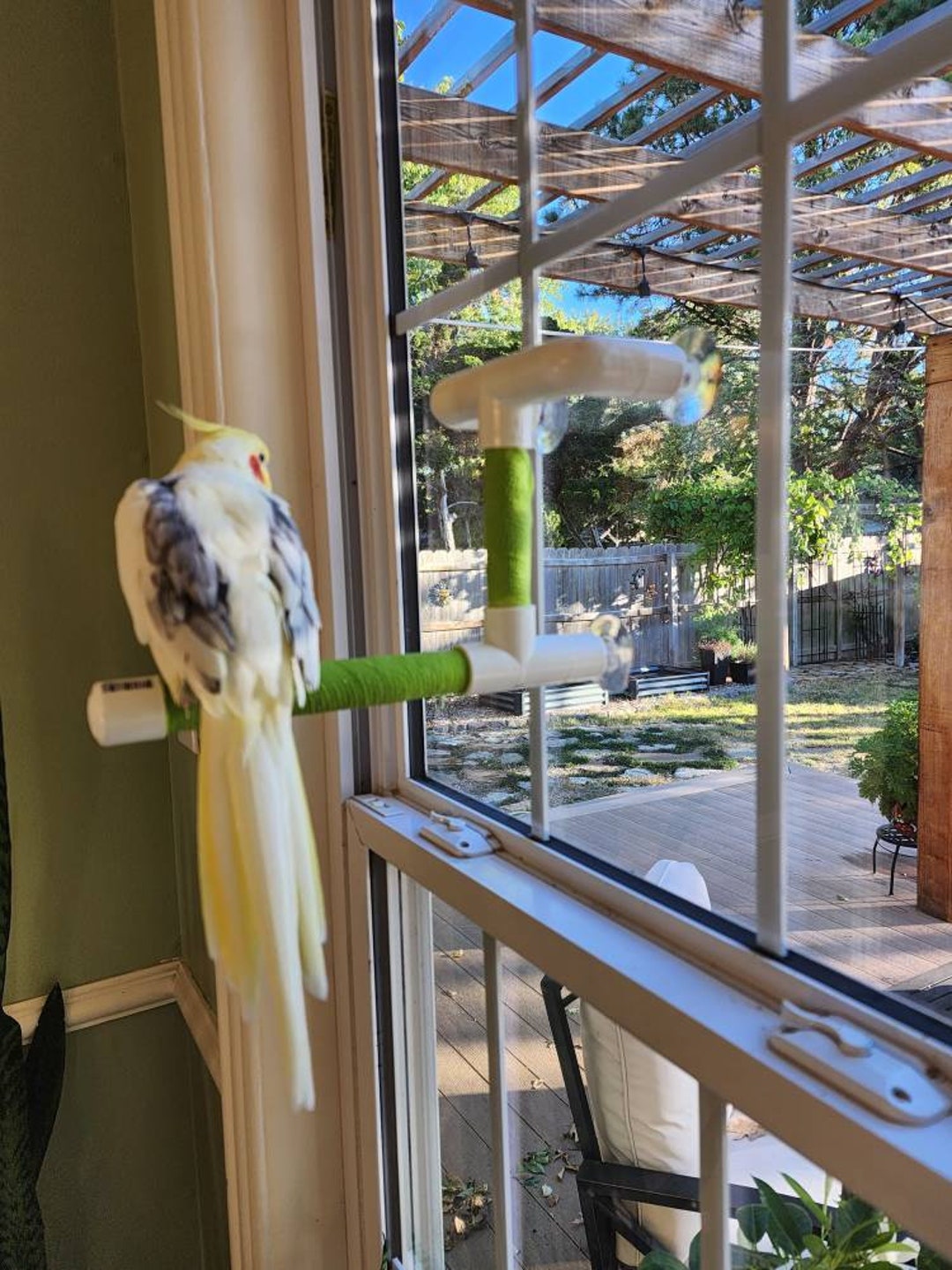 Window \ Shower Perch for Small to Medium Birds. W 3 Suction Cups 1/2 ...