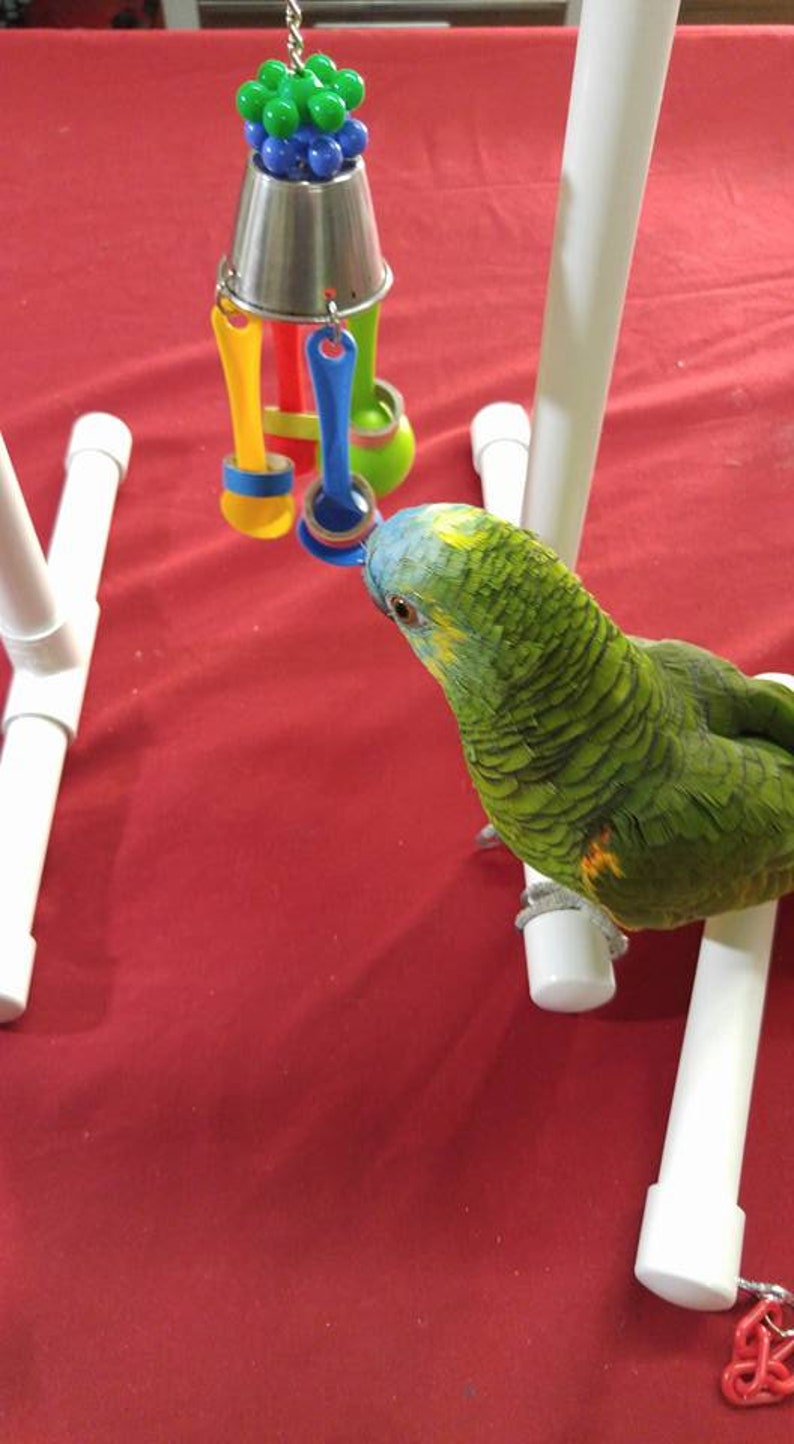 Transporter / Basic Medium Portable Parrot Perch / Toy or | Etsy
