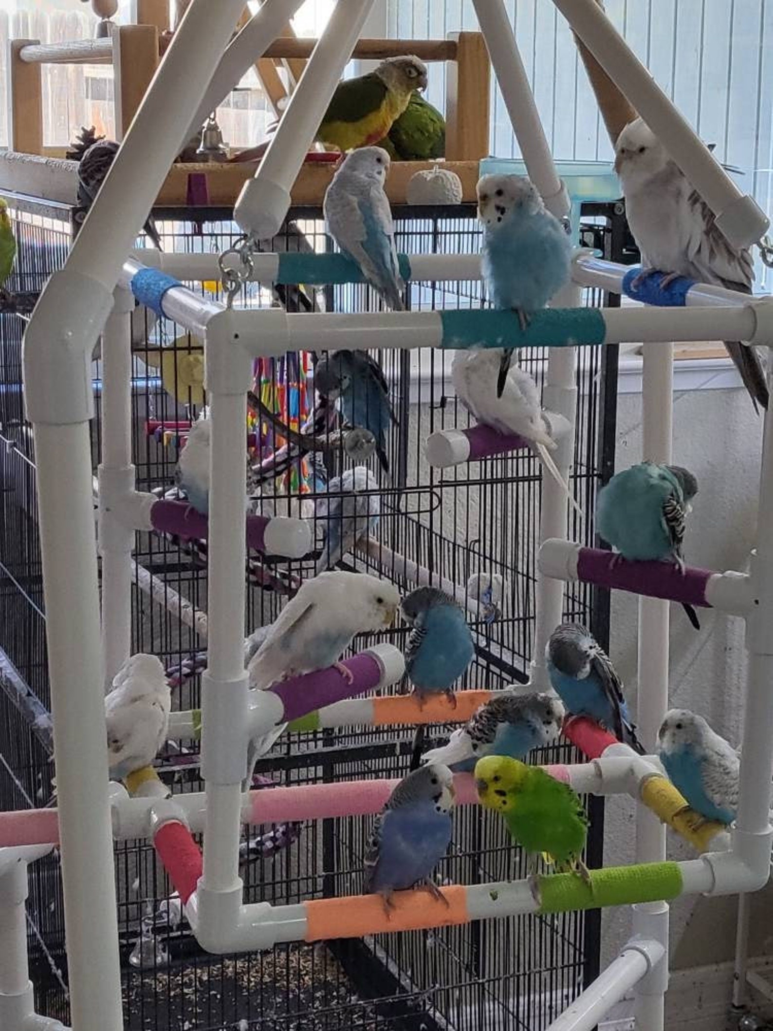 PVC "cube" and STAND Mobile Hanging Perch #17a,19 - Etsy