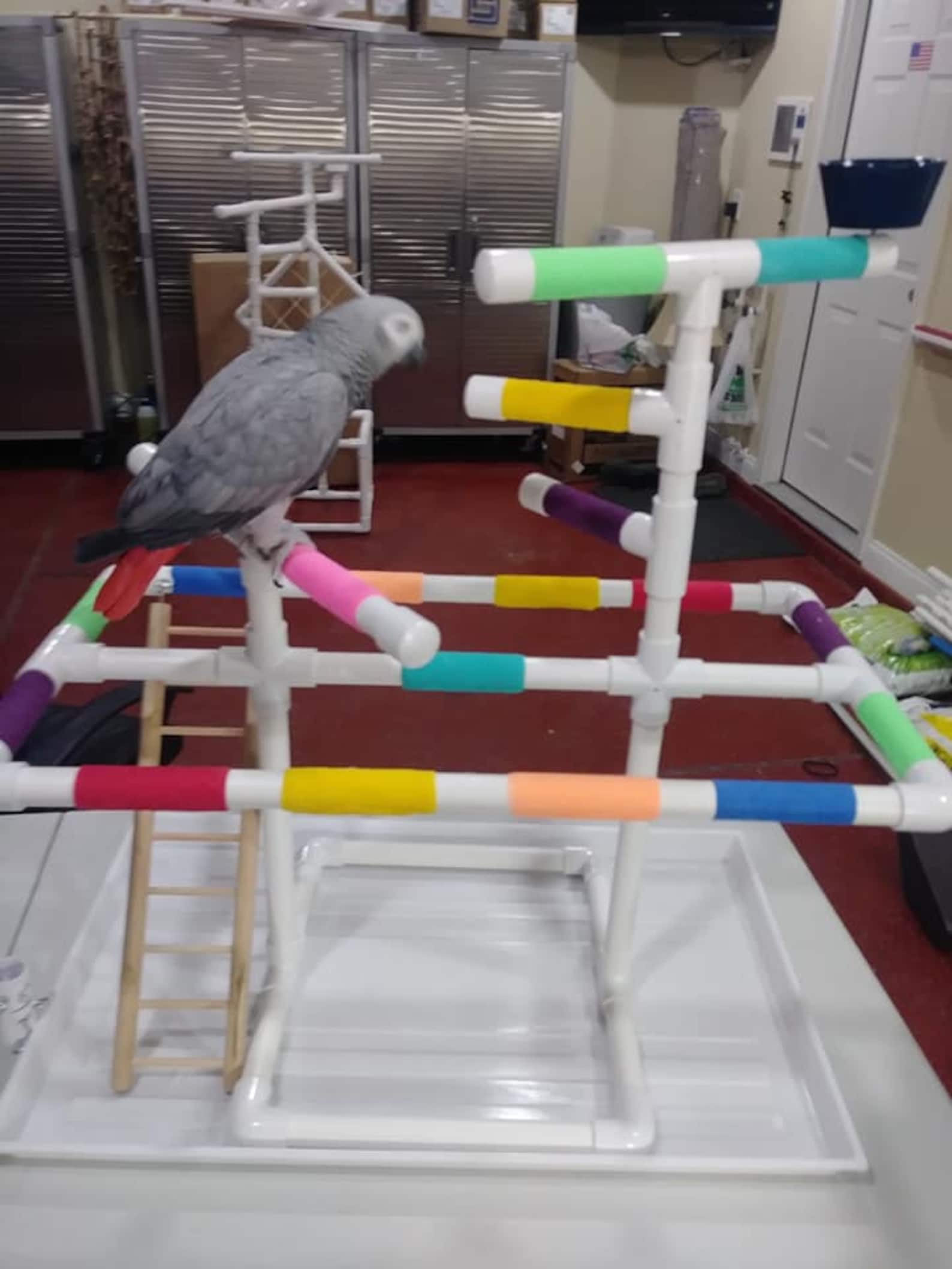 Deluxe Parrot Fun and Play! Pvc FLOOR Perch or Table Top Gym #16c,16b ...