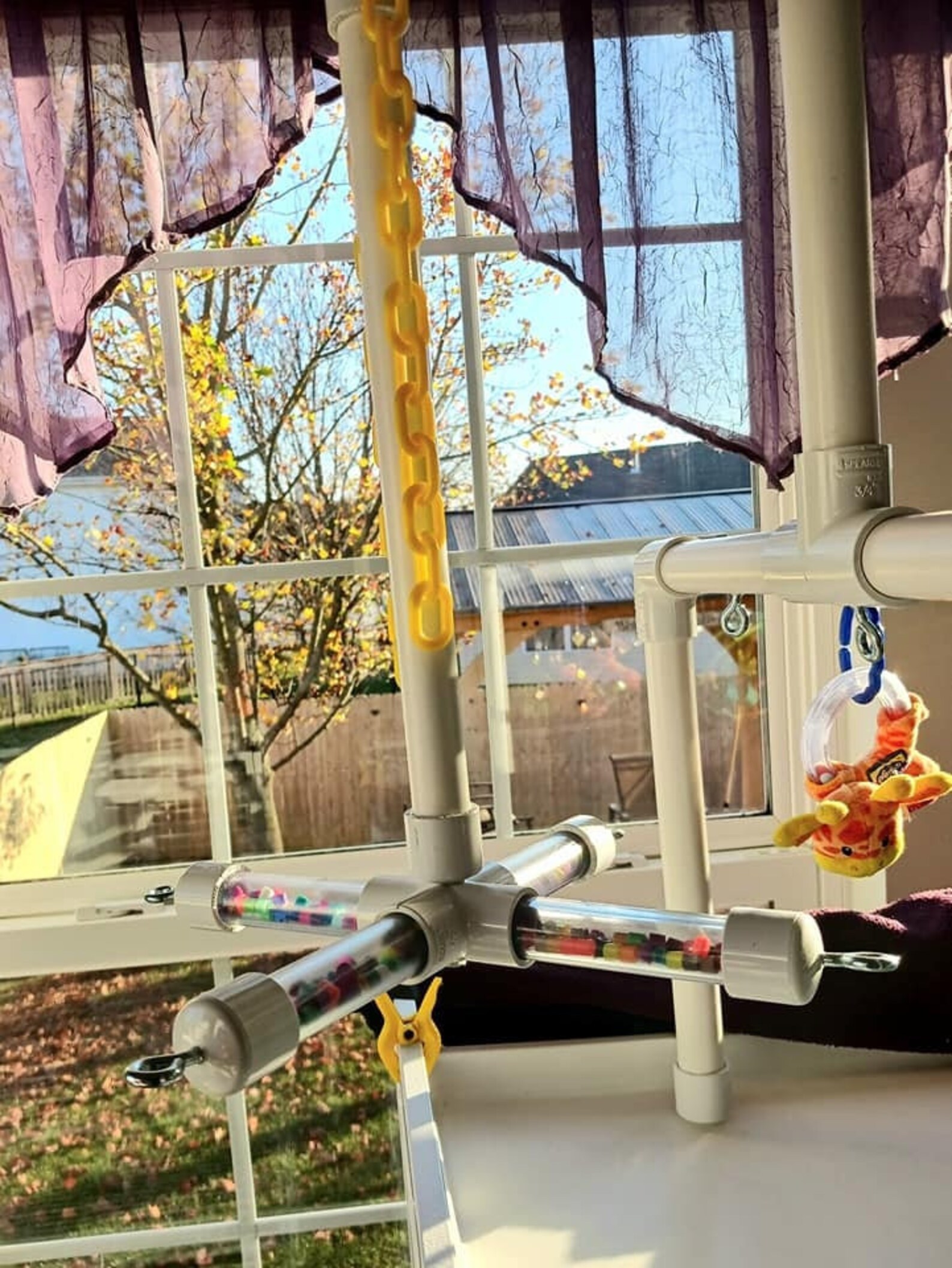 Infinity Swing Birds Parrots Monkeyreptile Stand - Etsy