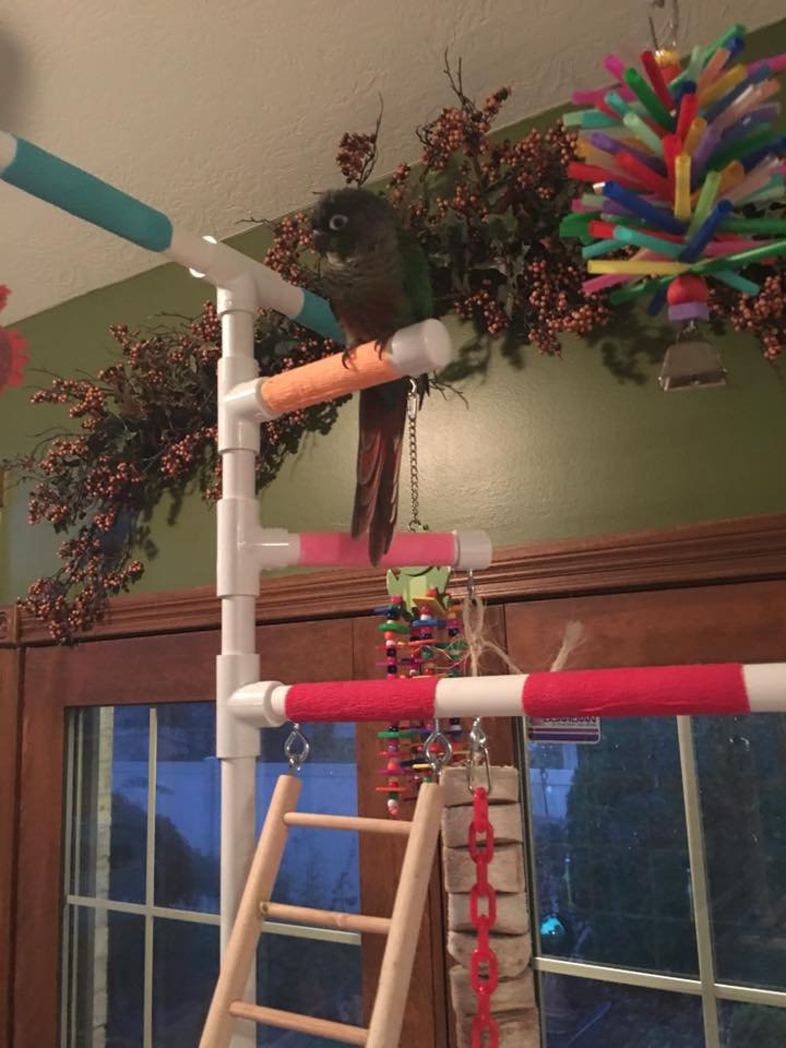 1/2" PVC Parrot Perch Fun Gym\stand With Steps, Pan and Swing! **FREE ...