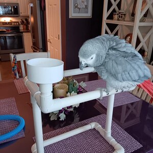 The "breakfast Bar" Table Top \ Portable Perch W 2 Cups, Sml, Med,lge ...