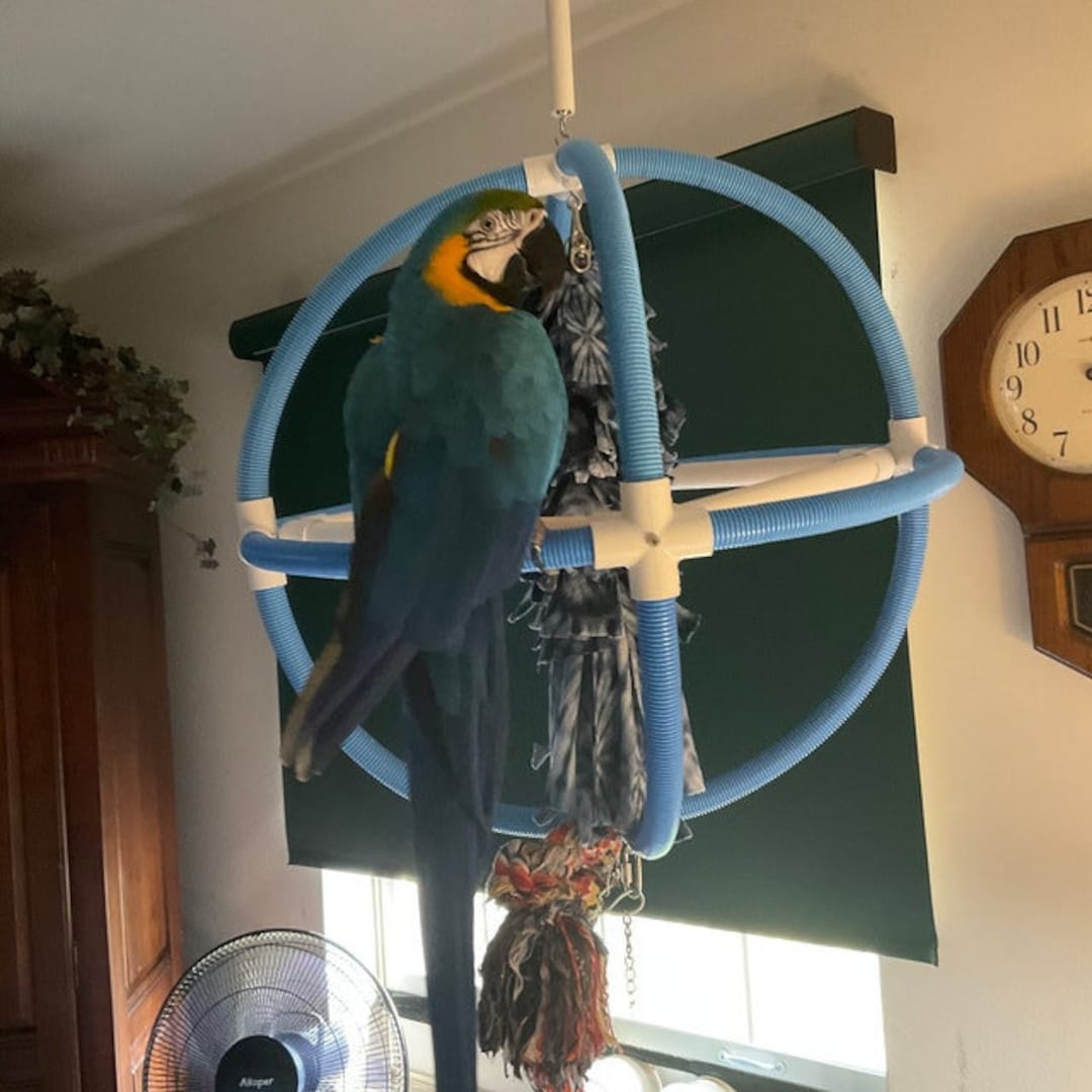 PVC 26" Hanging Orb \ Bird Perch \ Swing \ Stand 3/4" ** #20 (outside ...