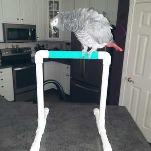 Transporter / Basic Medium Portable Parrot Perch / Toy or - Etsy