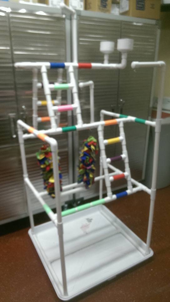 PVC Large Parrot Play Stand w Swing and PAN Wrapped | Etsy