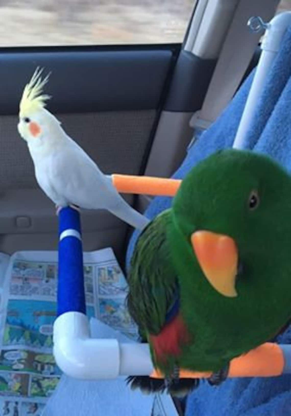 3/4 PVC Travel Bath & Shower Parrot Perch With Treat - Etsy