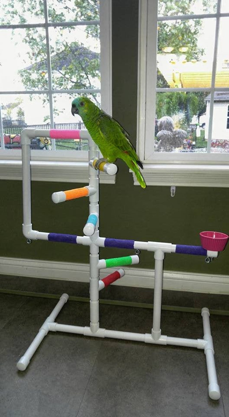Deluxe Large 3/4" PVC Parrot Perch \ Stand \ Play Gym #24 - Etsy