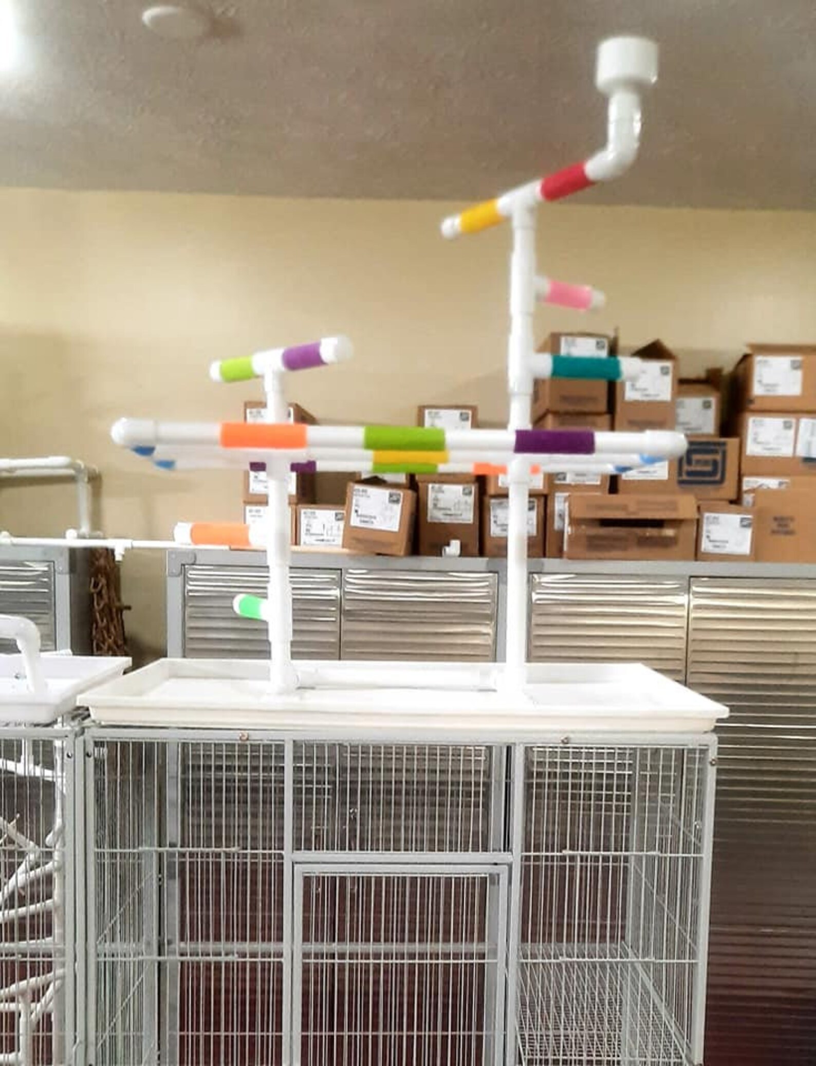 Deluxe Parrot Fun and Play Pvc FLOOR Perch or Table Top Gym W - Etsy