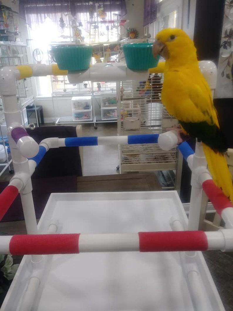 3/4 PVC Parrot Play Gym. Table Top Portable Bird Perch | Etsy