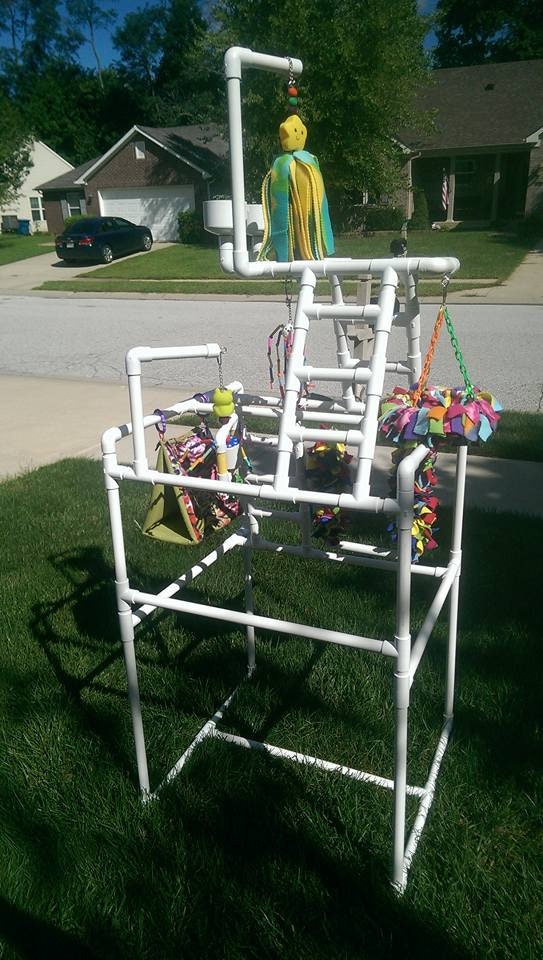 PVC Large Parrot Play Stand w Swing and PAN Wrapped | Etsy