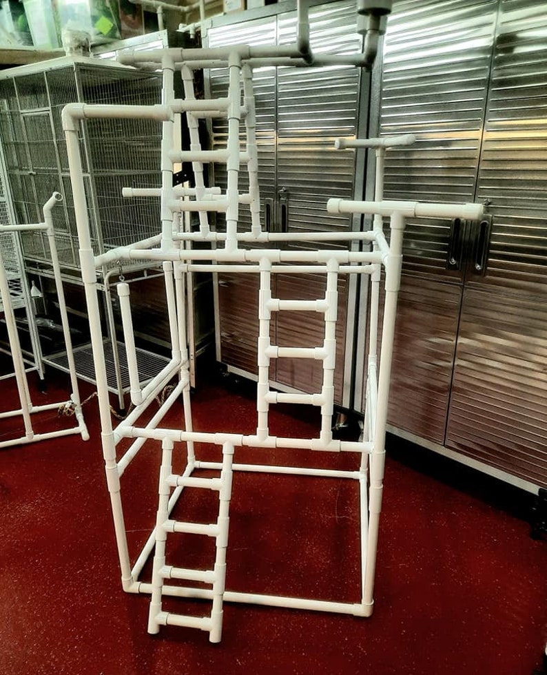 Larger to Floor" Bird Floor Perch \ Stand in 3/4" PVC Parrots\macaw Gym ...