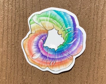 Rainbow Pop Sticker for Laptops Cars Journals Lighters - Etsy