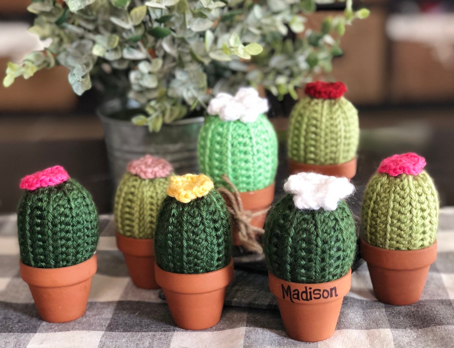 Crocheted Cactus in a Pot Cactus Cacti Decor - Etsy