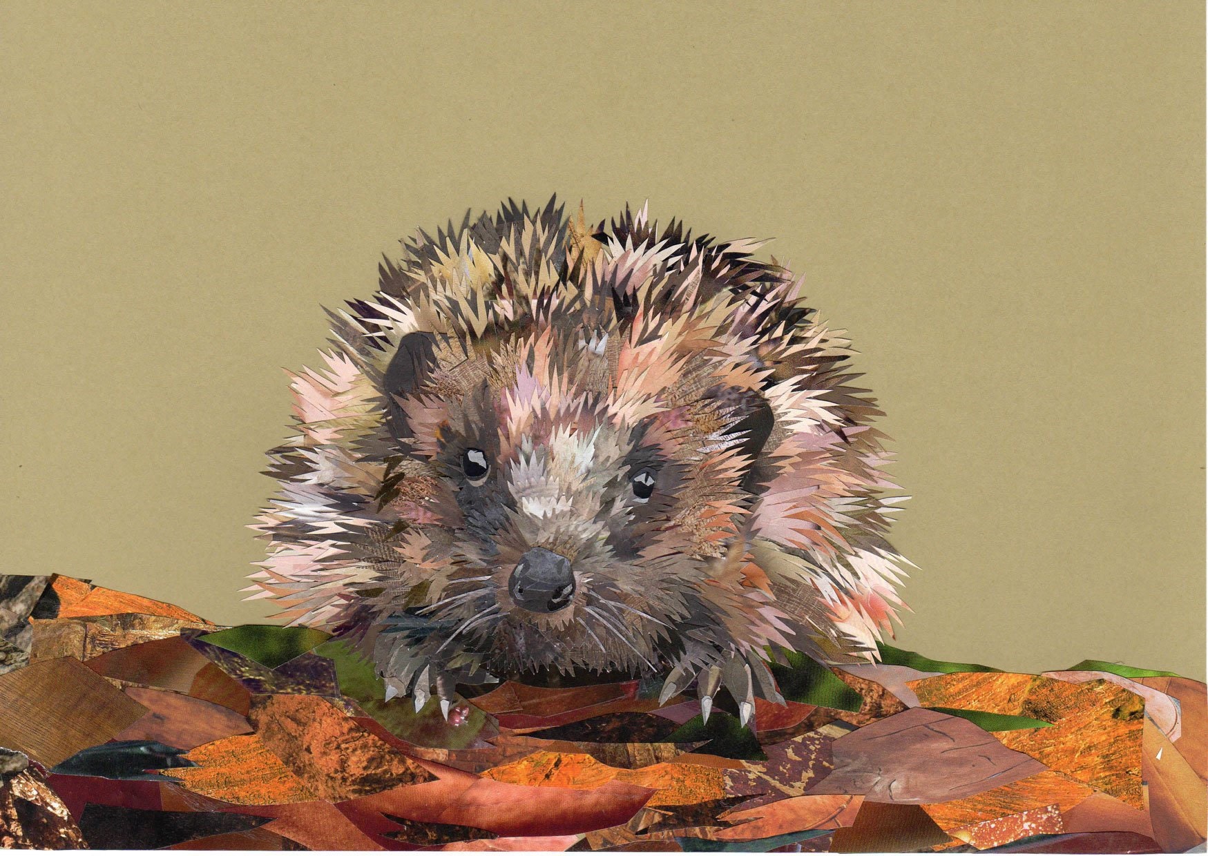 Hattie the Hedgehog, Collage, Signed Limited Edition A4 Print - Etsy UK