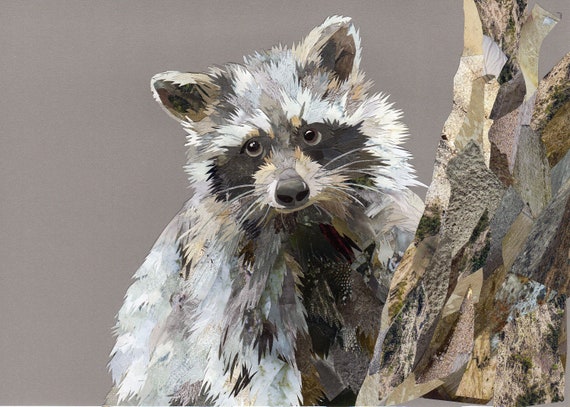 Albert the Raccoon Collage Signed Limited Edition A4 Print. | Etsy UK