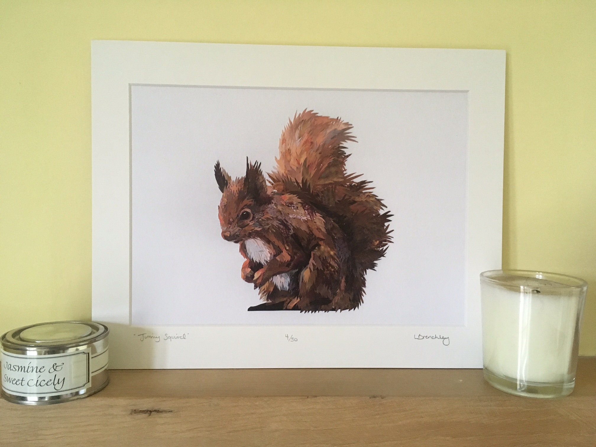 Red Squirrel Collage, Signed Limited Edition A4 Print - Etsy UK