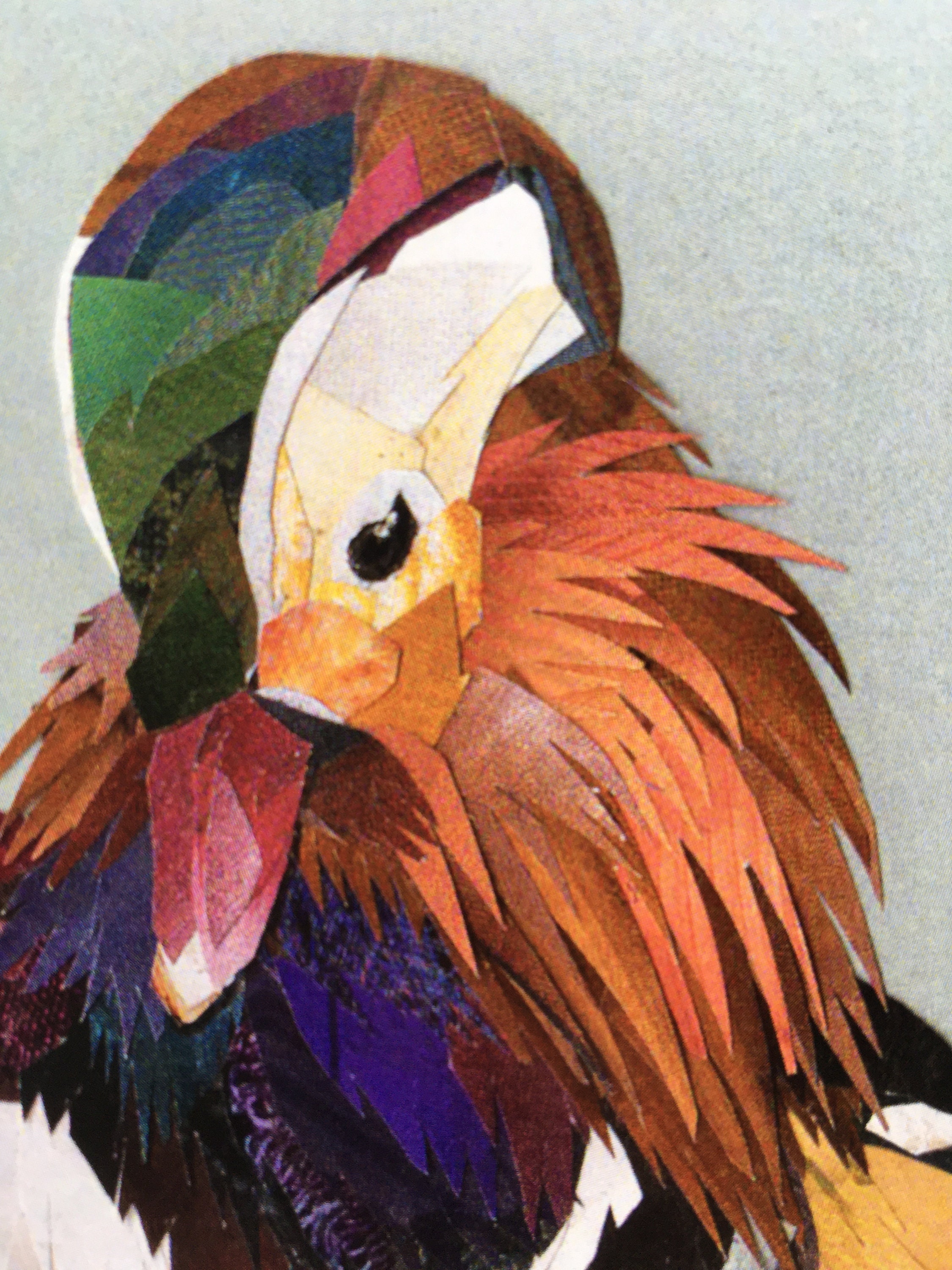 Mandarin Ducks, collage, signed limited edition A4 print. - Etsy 日本