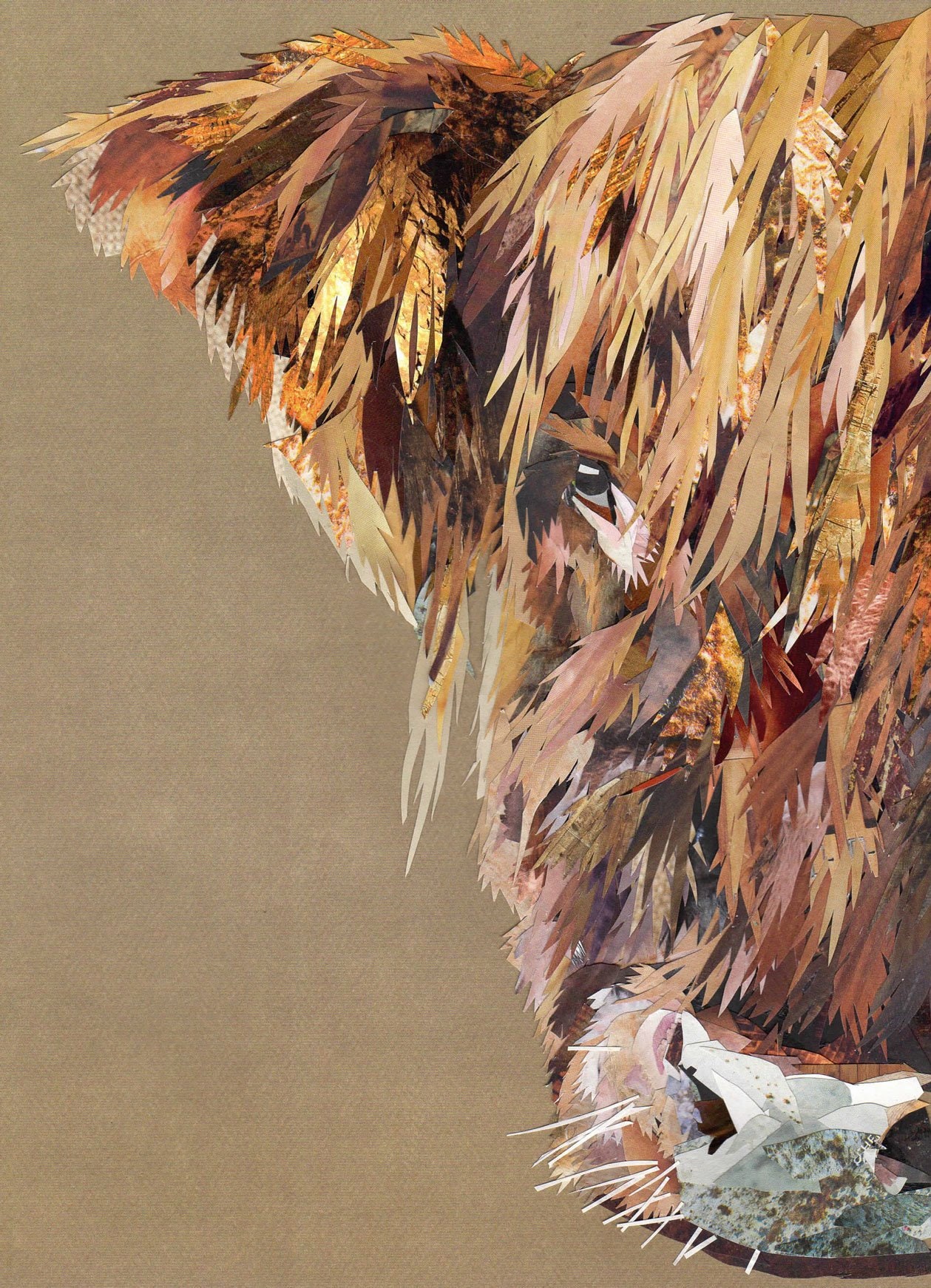 Gregory Highland Cow Collage Signed Limited Edition A4 Print - Etsy