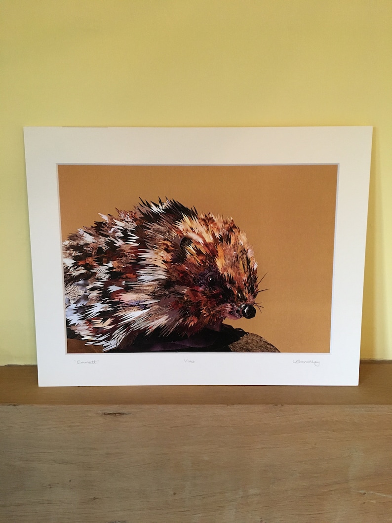 Emmett the Hedgehog Collage Signed Limited Edition A4 Print - Etsy