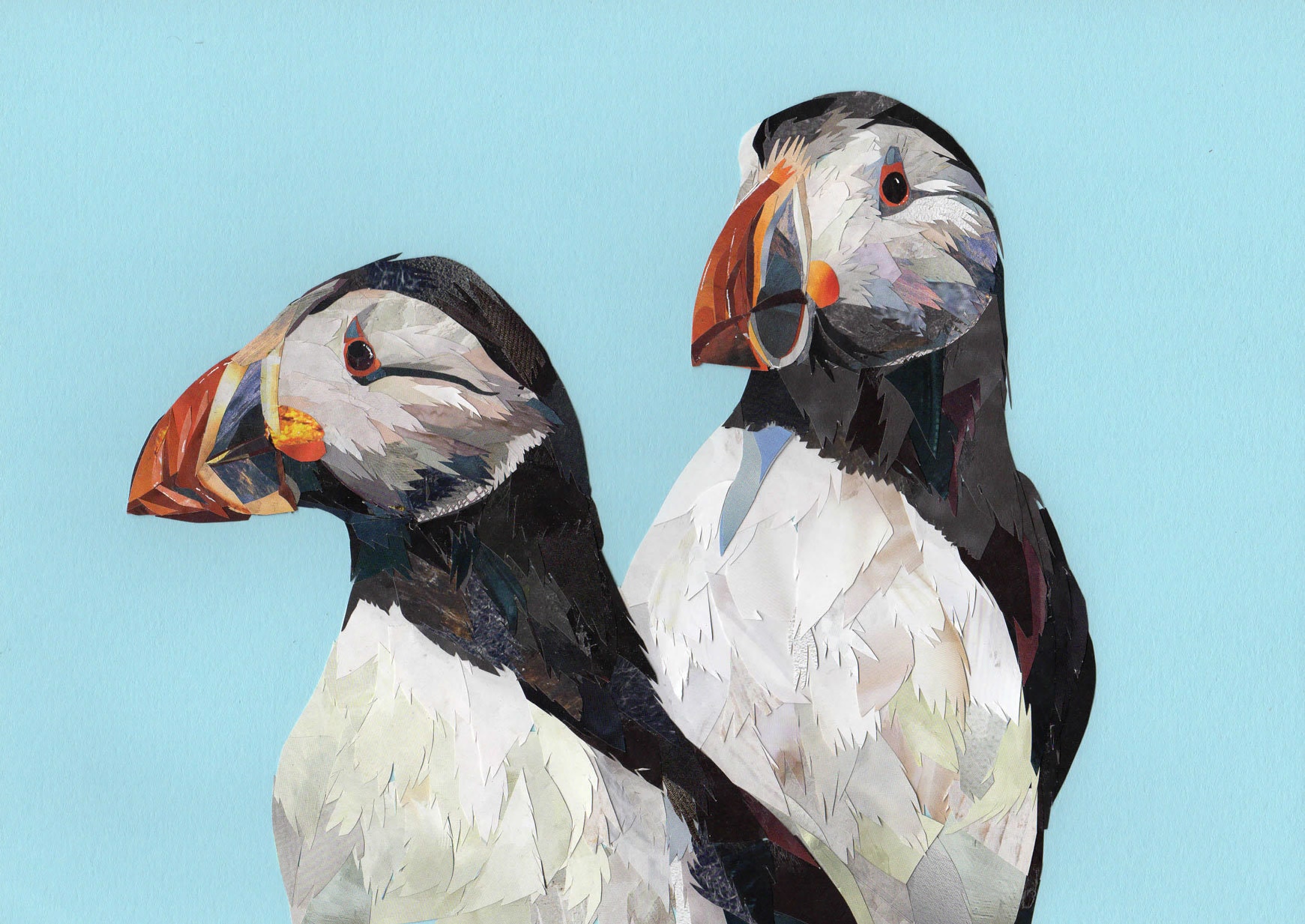 Puffins Collage, Signed Limited Edition A4 Print - Etsy UK