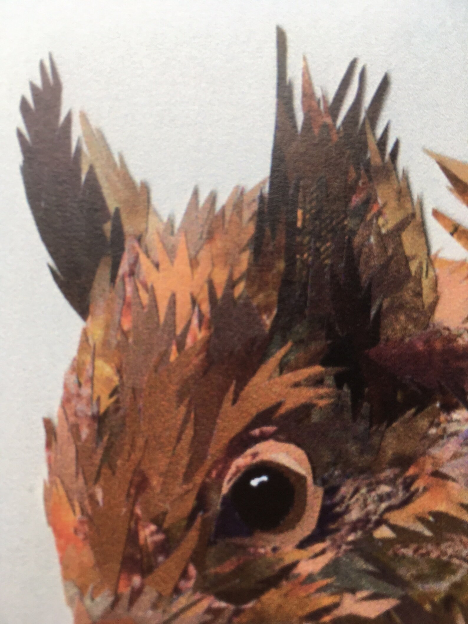 Red Squirrel collage, signed limited edition A4 print - Etsy.de