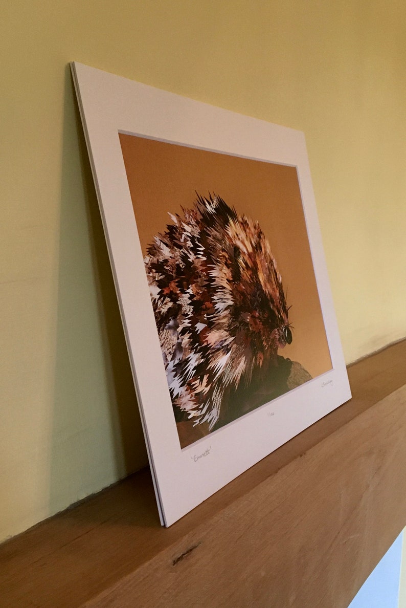 Emmett the Hedgehog Collage Signed Limited Edition A4 Print - Etsy