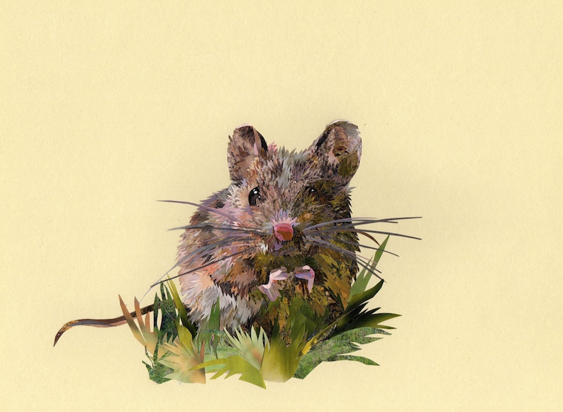 Matilda Mouse Collage, Signed Limited Edition A4 Print - Etsy