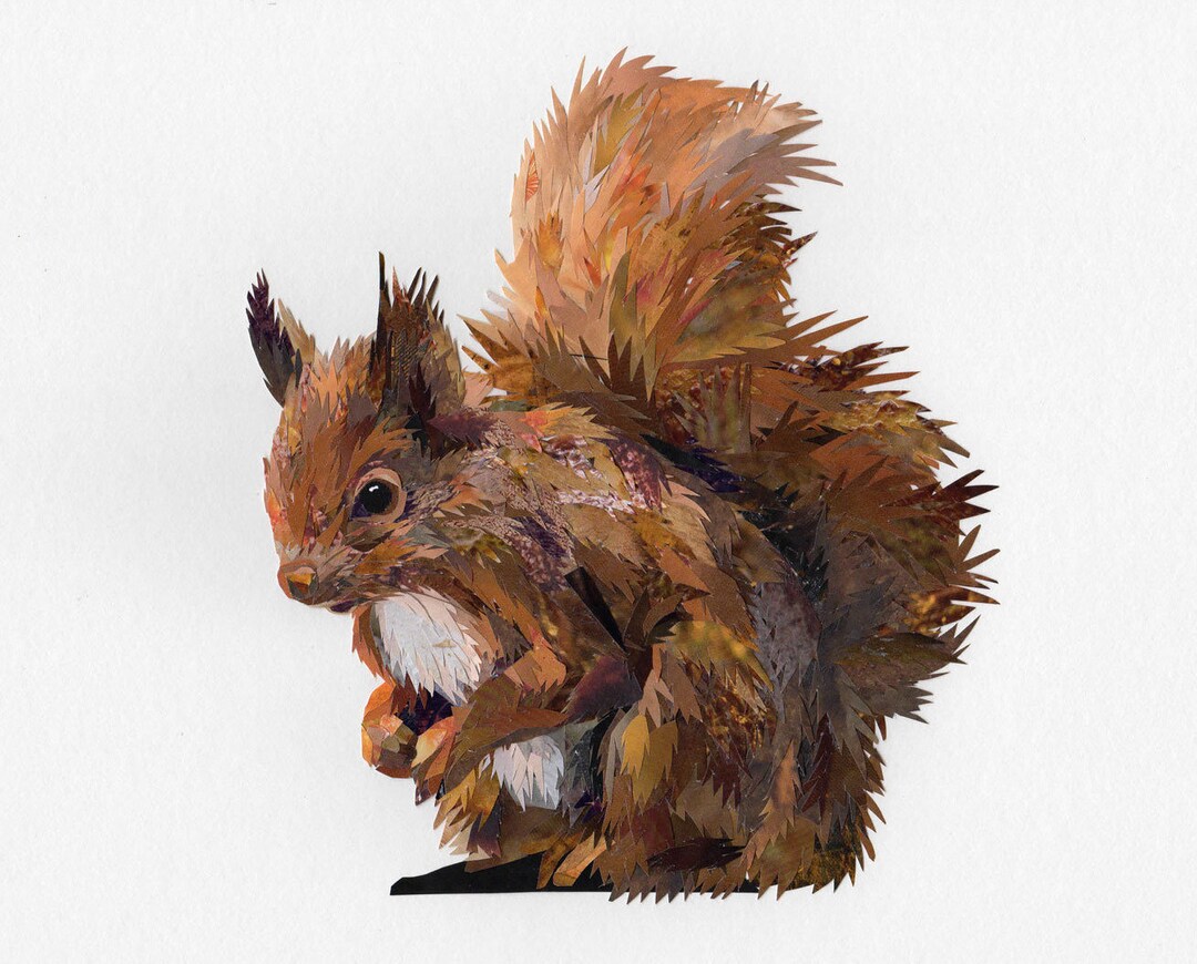 Red Squirrel Collage, Signed Limited Edition A4 Print - Etsy UK