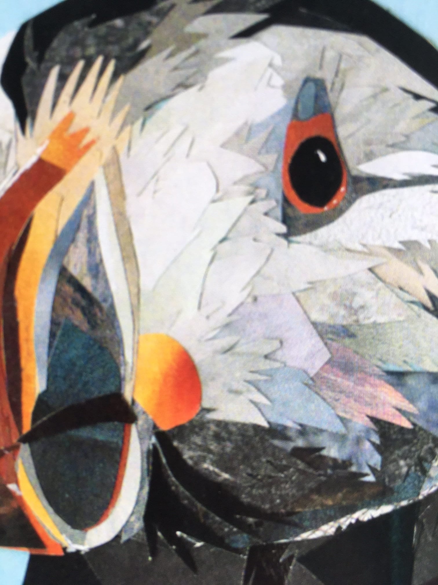 Puffins Collage, Signed Limited Edition A4 Print - Etsy UK