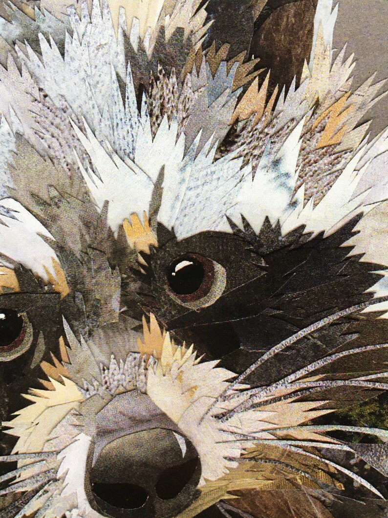 Albert the Raccoon, Collage, Signed Limited Edition A4 Print. - Etsy UK