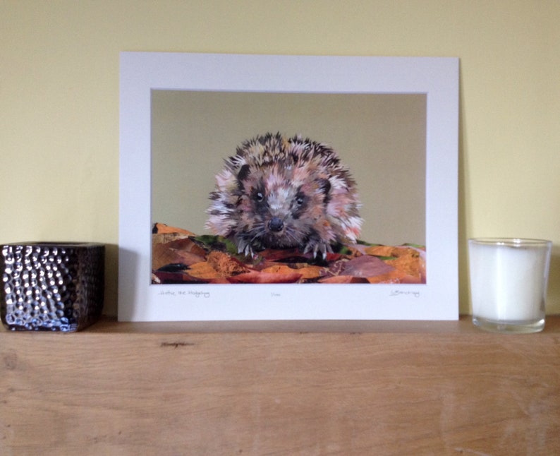 Hattie the Hedgehog Collage Signed Limited Edition A4 Print - Etsy