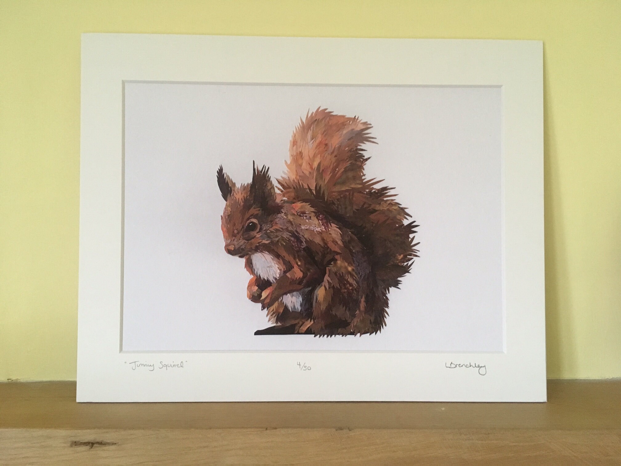 Red Squirrel Collage, Signed Limited Edition A4 Print - Etsy UK