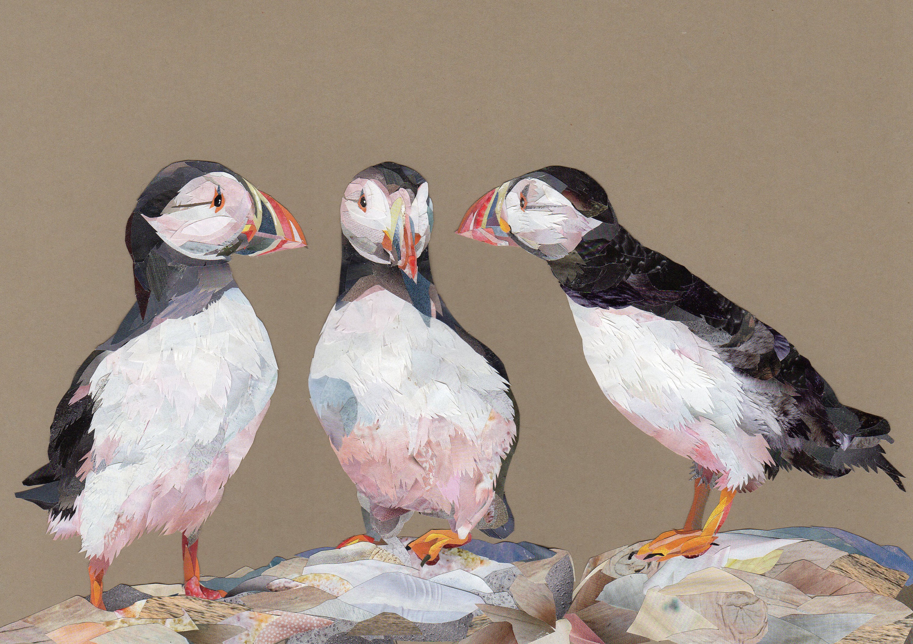 And Then What Happened Puffins Collage, Signed Limited Edition A4 Print ...