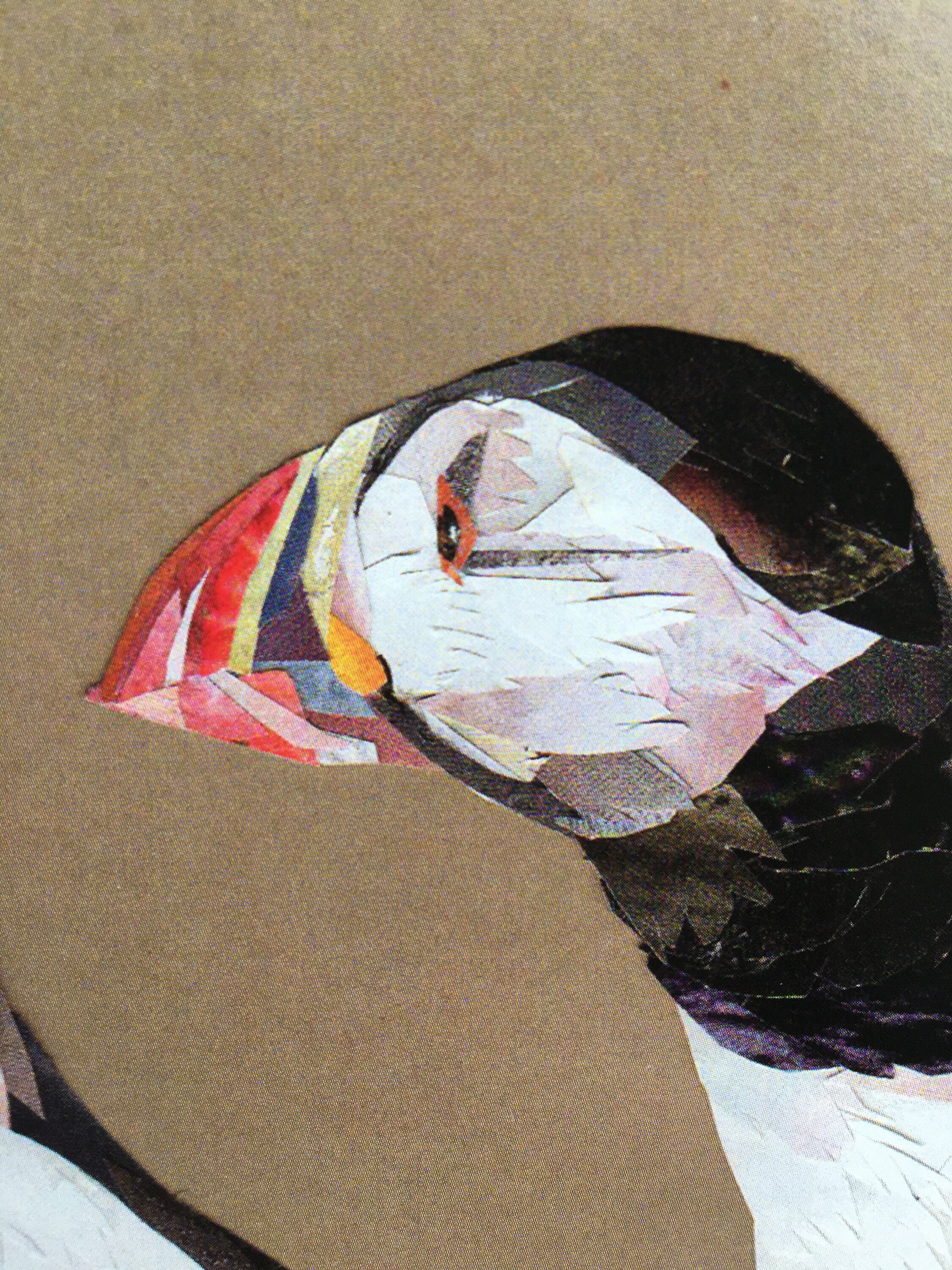 And Then What Happened? Puffins Collage, Signed Limited Edition A4 ...