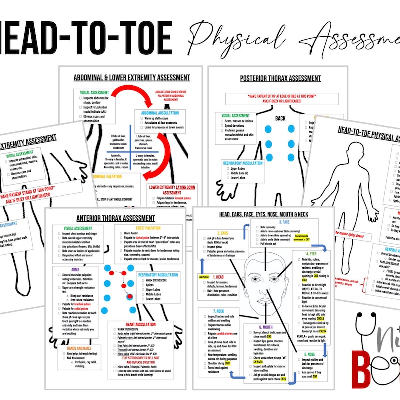 Physical Assessment Guide - Etsy