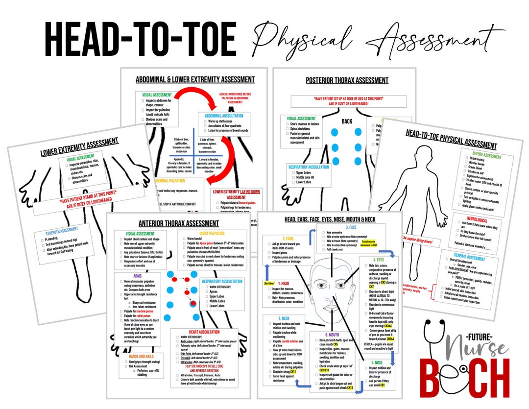 Head-to-toe Physical Assessment Outline - Etsy