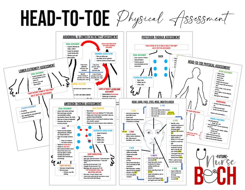 Head-to-toe Physical Assessment Outline - Etsy