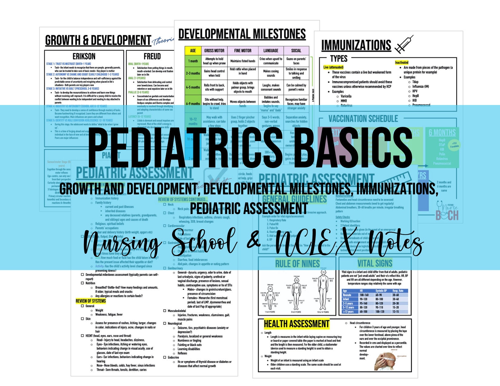 Pediatric Basics Nursing School Notes - Etsy