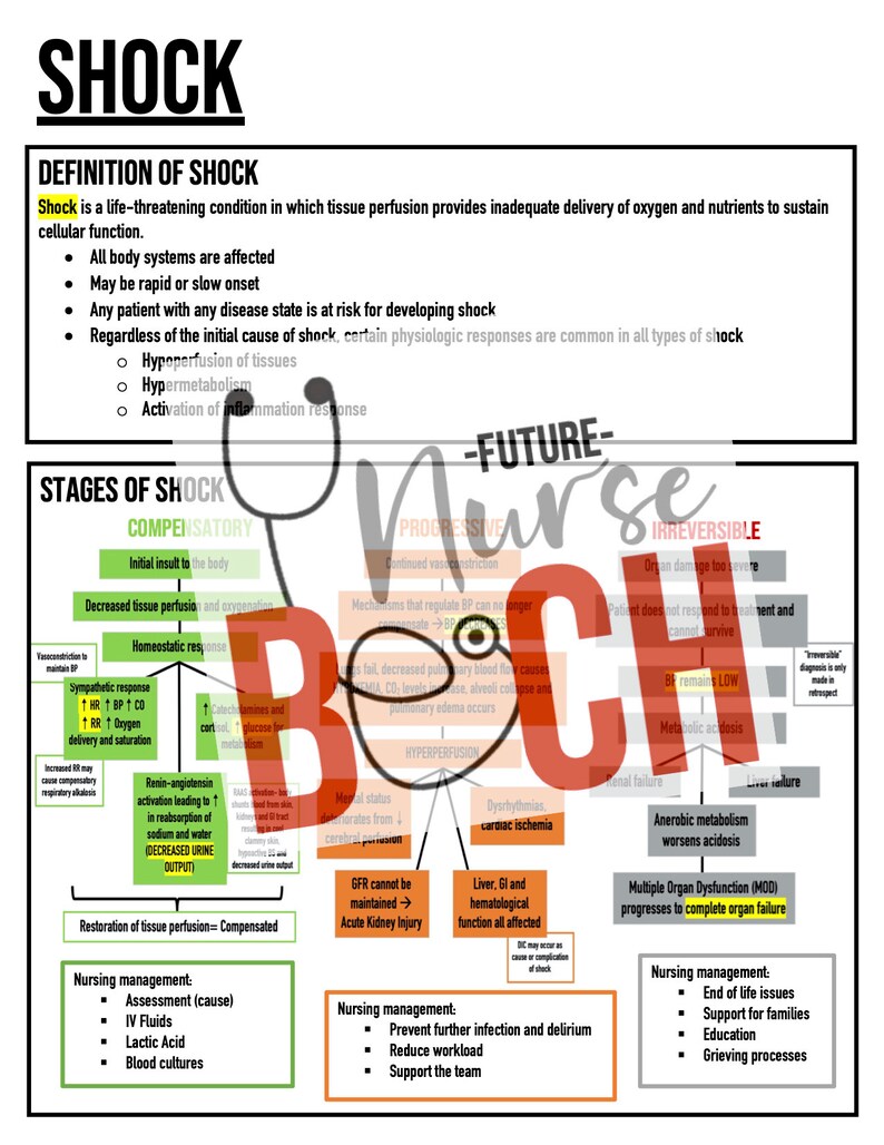 Shock and Sepsis Nursing School Notes - Etsy
