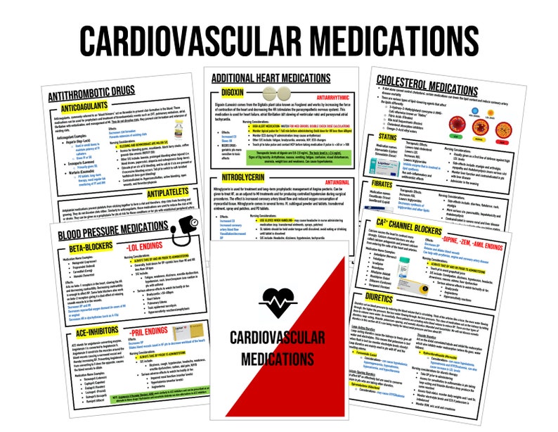 Cardiovascular Medications Notes - Etsy