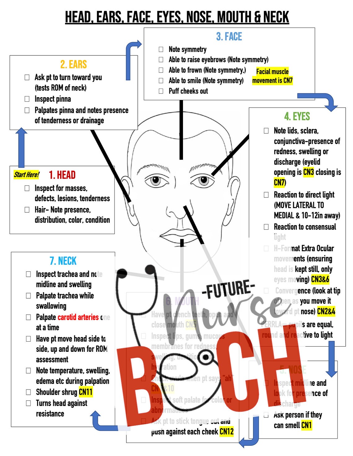 Head-to-toe Physical Assessment Outline - Etsy UK