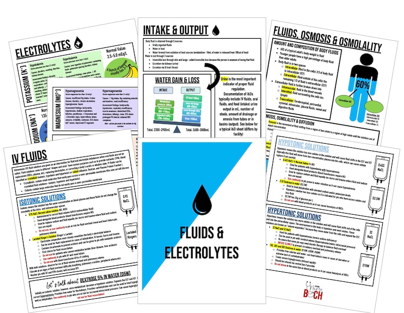 Fluid and Electrolyte Nursing School Study - Etsy