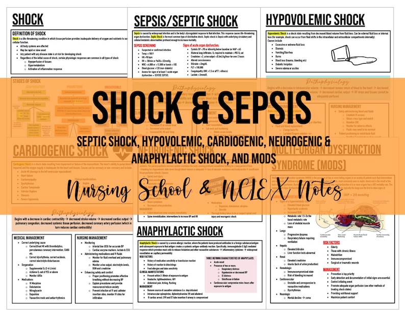 Shock and Sepsis Nursing School Notes - Etsy