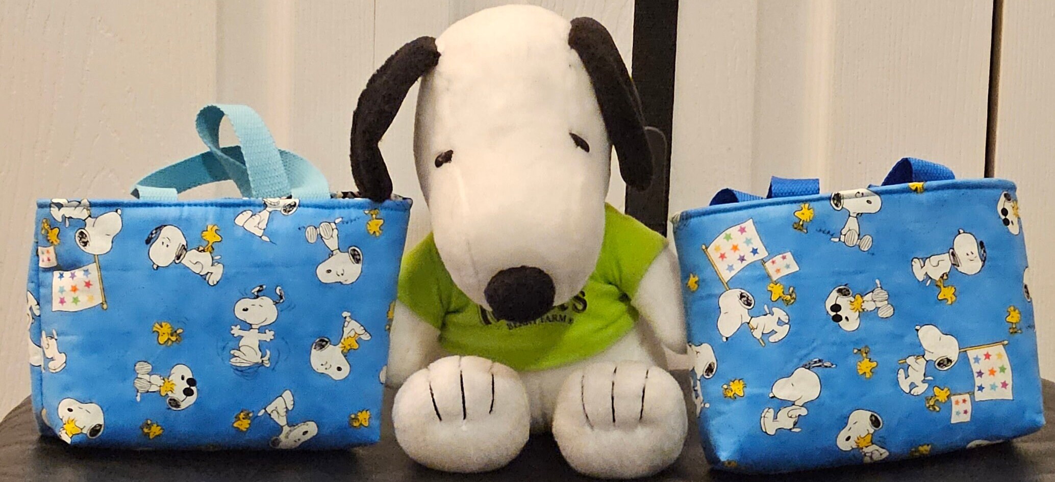 Snoopy Mini Tote Bag Cute Trendy - Etsy