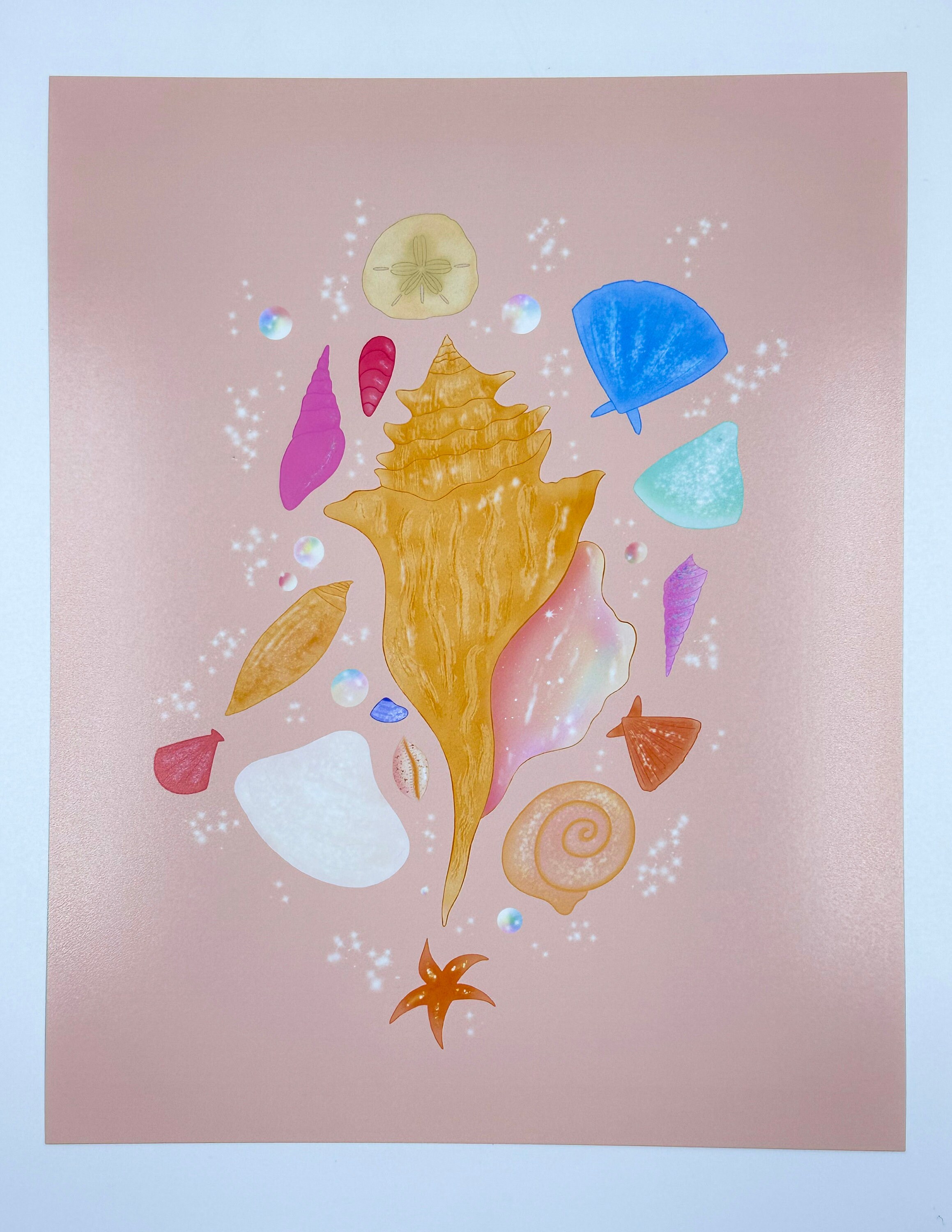 Ocean Seashell Art Print, Beach Gift, Shell Picture, Cute Gift ...