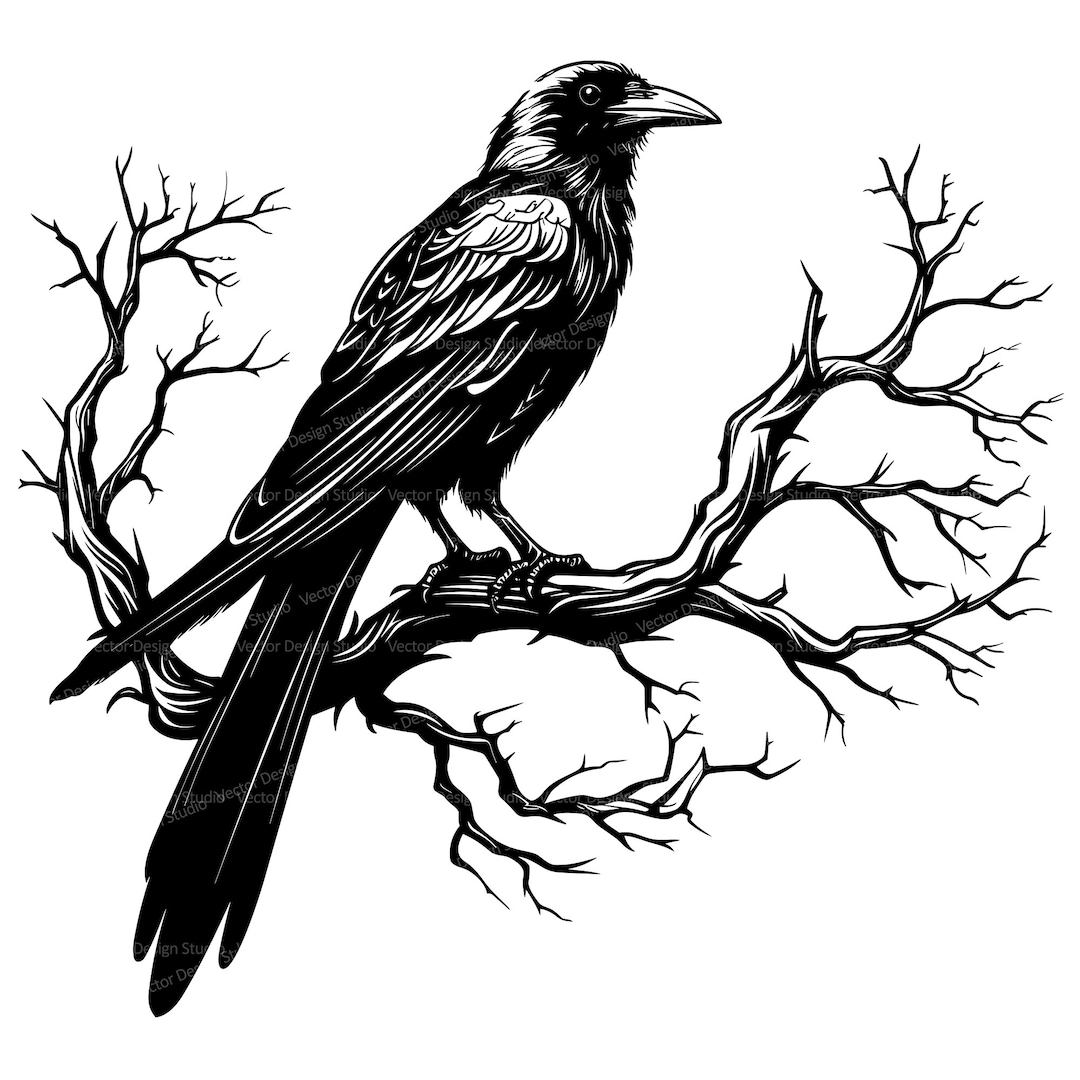 Raven on Tree Branch Svg & PNG Files, Halloween Raven Clipart ...