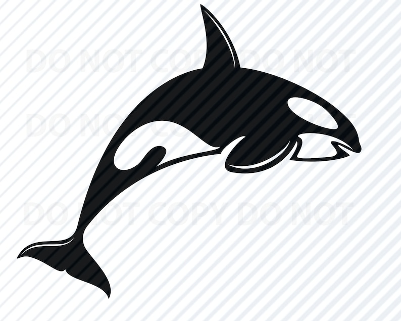 Killer Whale Svg File Images Orca Silhouette Mammal | Etsy