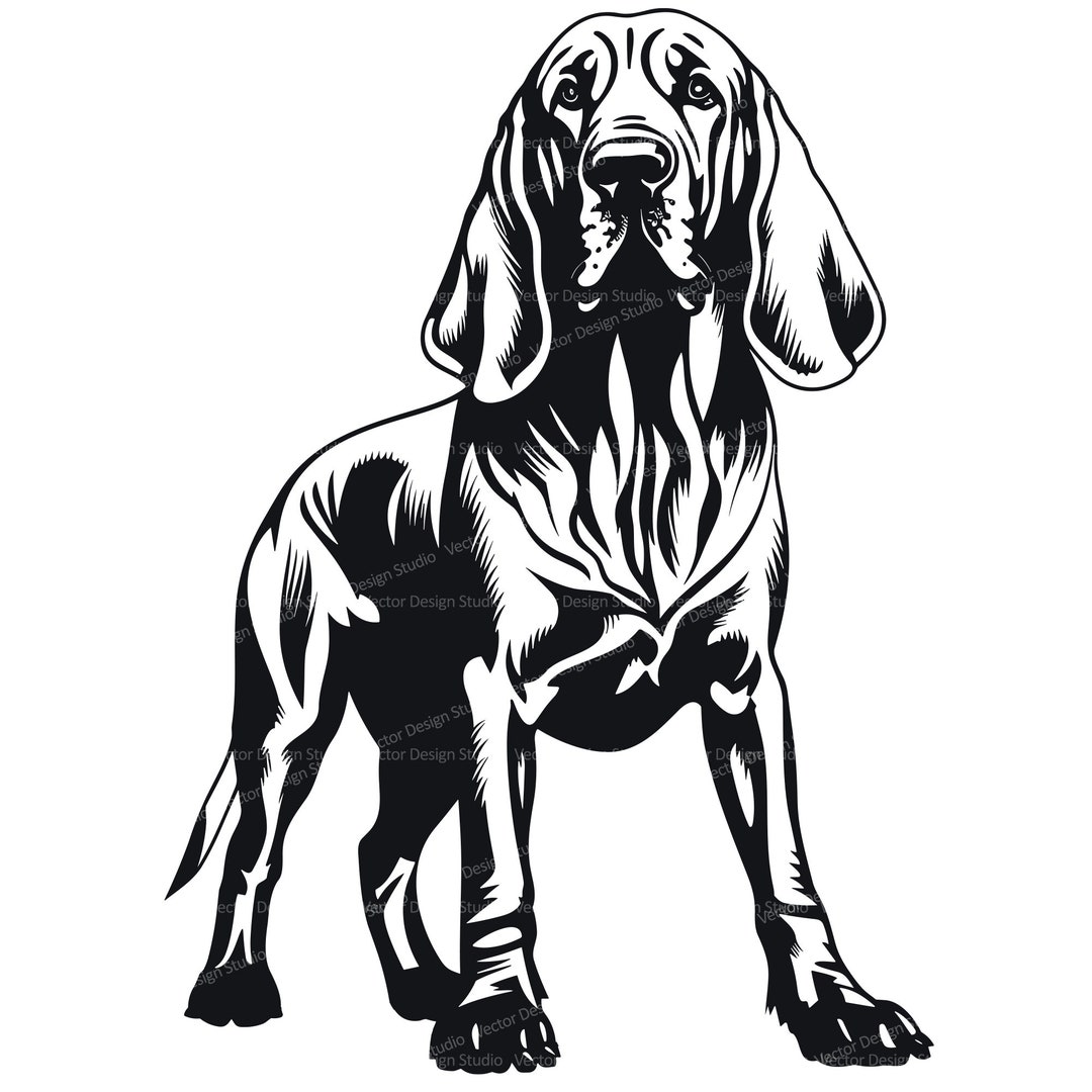 Bloodhound SVG & Png File, Hound Dog Clipart Silhouette, Dog Breed ...