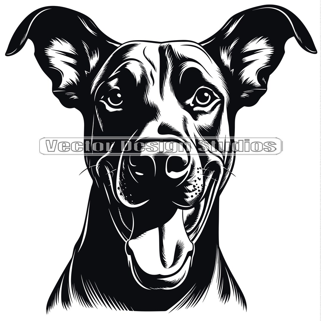 Doberman Head SVG File, Doberman Pinscher Face Profile PNG, Dog Vector ...